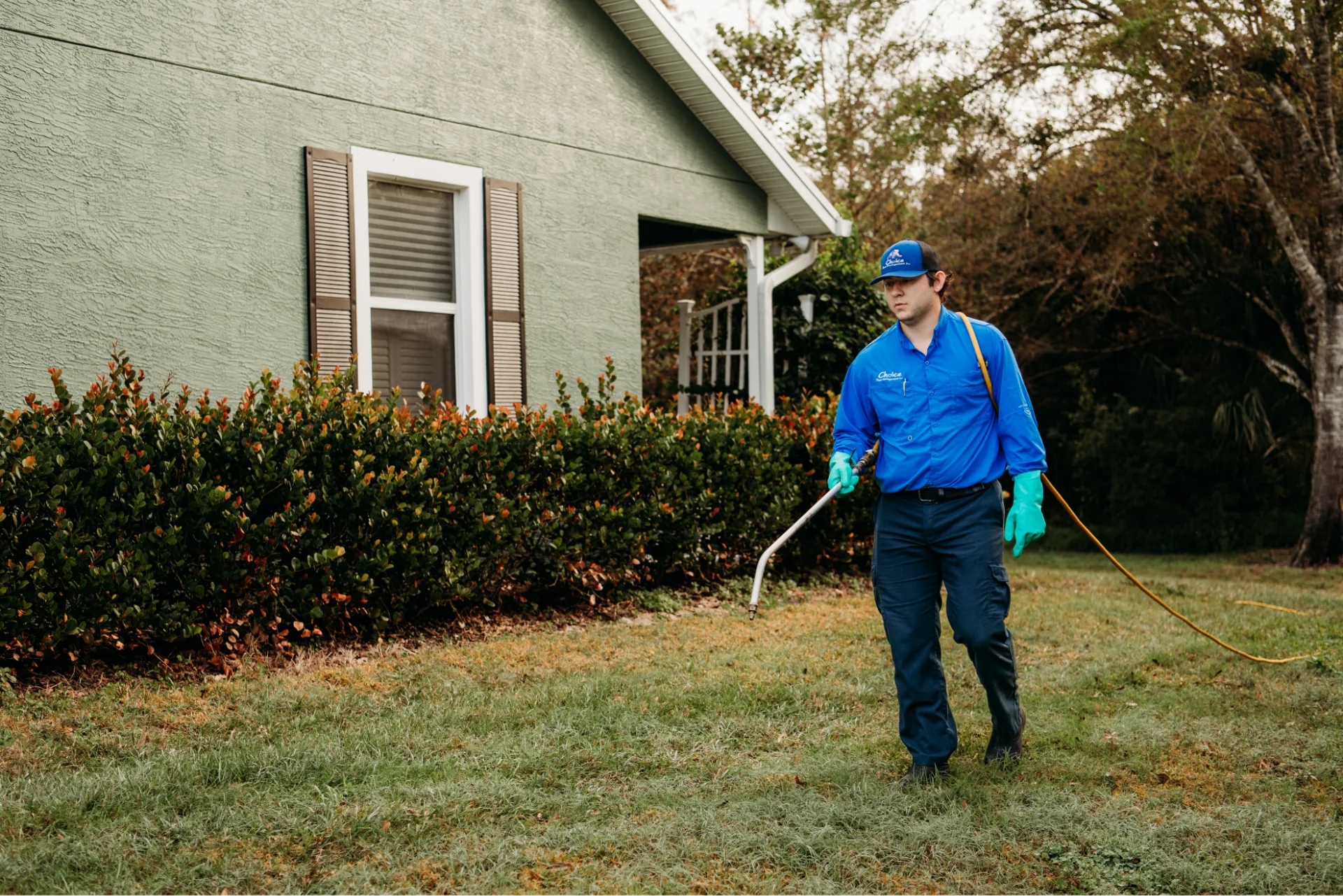 Insect Control in Fort Pierce, FL | Reliable Pest Solutions